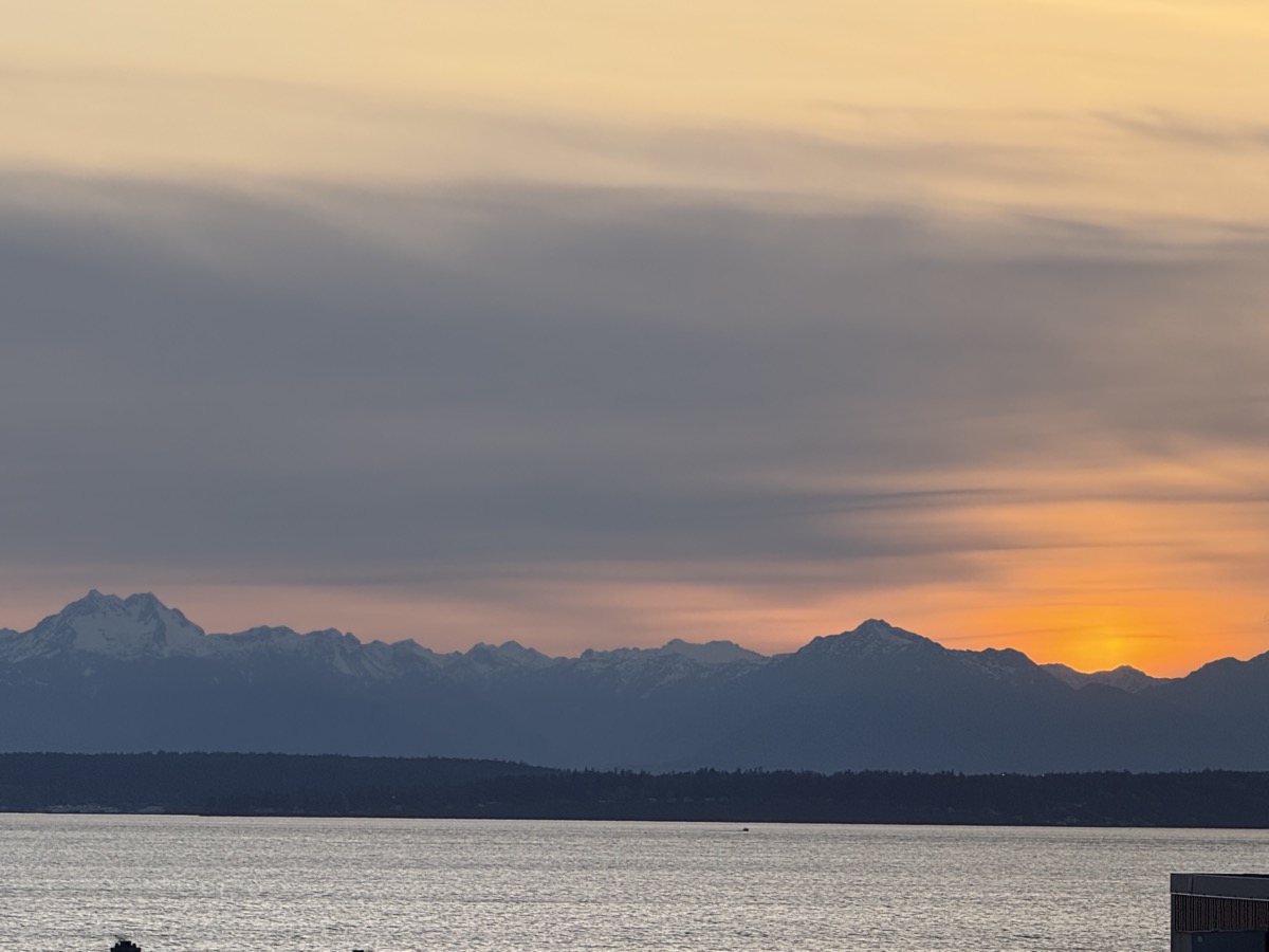 Hostel Fish | Seattle